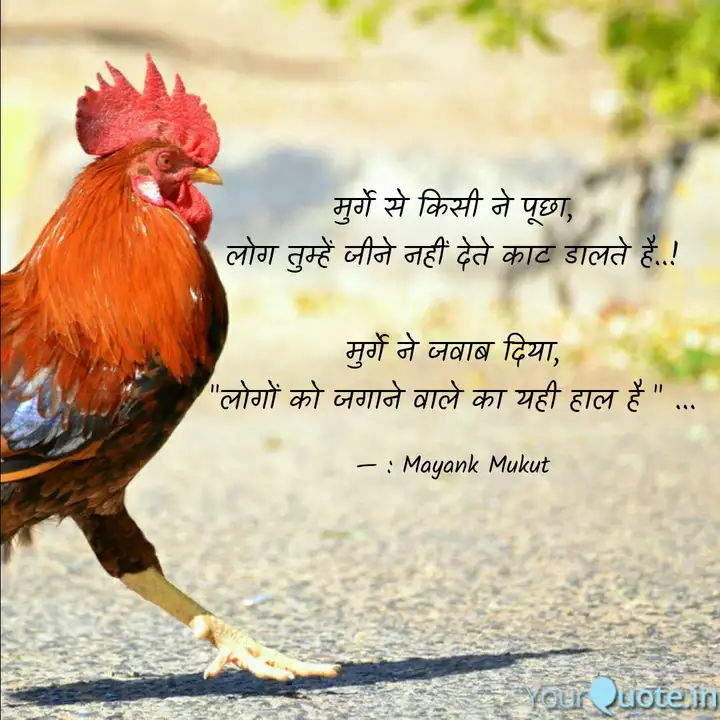 Quotes Writings By Mayank Mukut