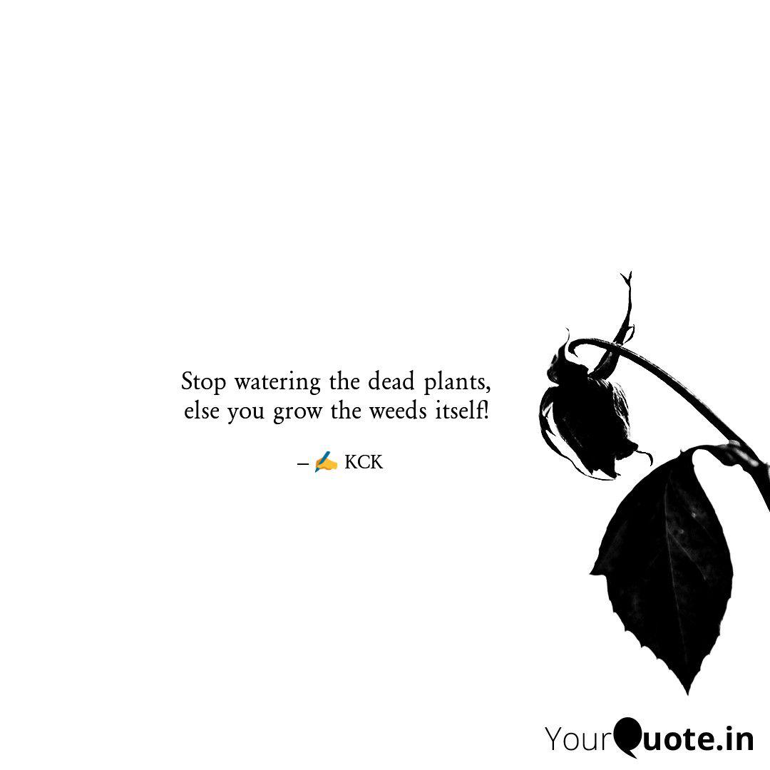Stop Watering The Dead Pl Quotes Writings By Karthik stop-watering-the-dead-pl-quotes-writings-by-karthik