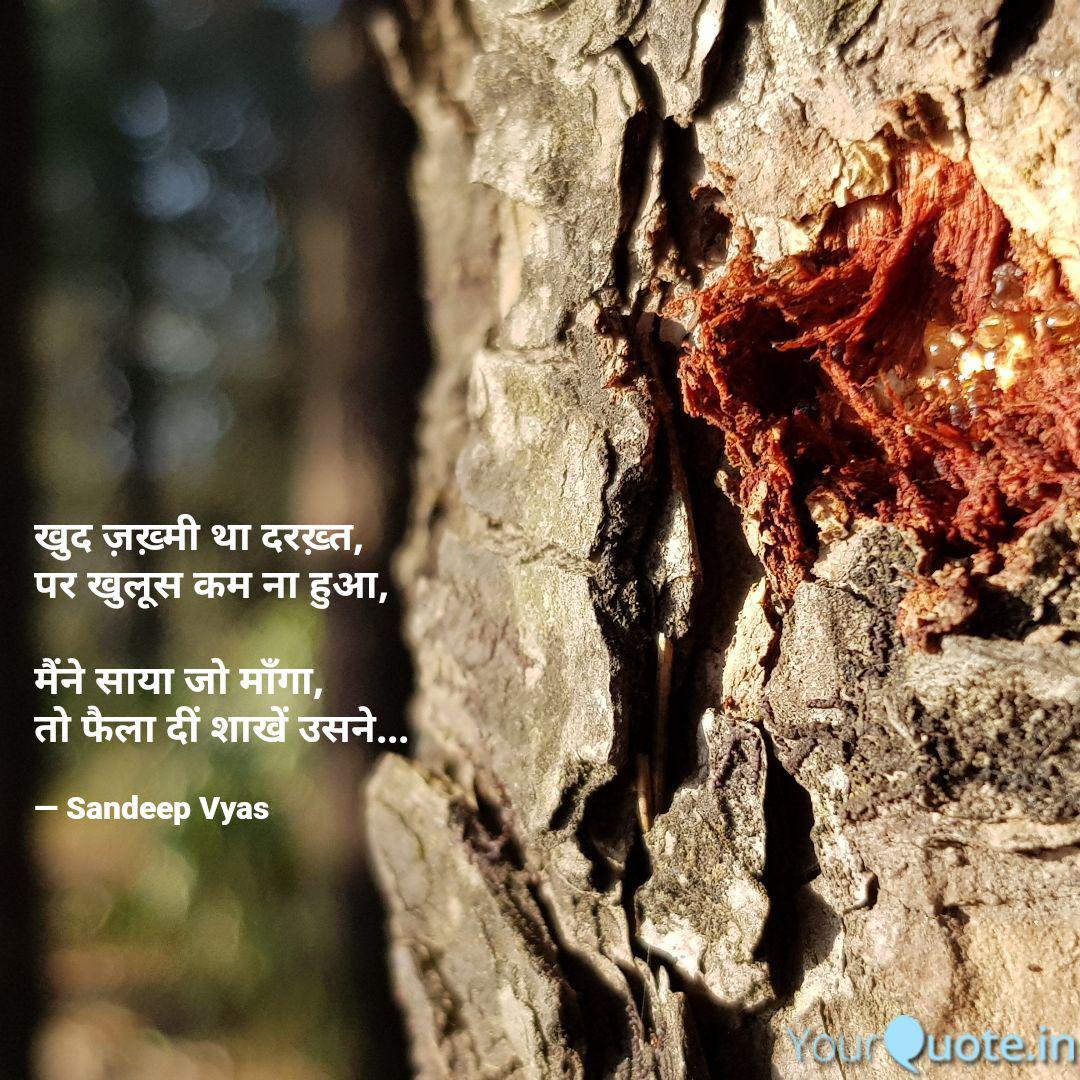 खुद ज़ख़्मी था दरख़्त, पर खु... | Quotes & Writings by Sandeep Vyas ... खुद ज़ख़्मी था दरख़्त, पर खु... | Quotes & Writings by Sandeep Vyas ...